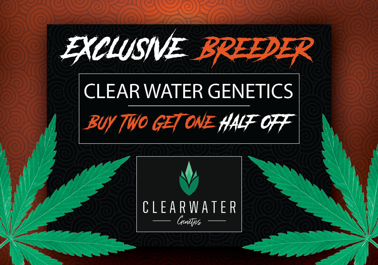 Cannabis seeds online | Buy Marijuana Seeds | Weed Seeds
